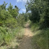 Lind Point Trail to Honeymoon Beach, Saint John, US Virgin Islands ...