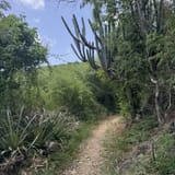 Lind Point Trail to Honeymoon Beach, Saint John, US Virgin Islands ...