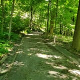Bull Hill Full Loop, New York - 5,913 Reviews, Map | AllTrails