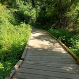 Bull Hill Full Loop, New York - 5,913 Reviews, Map | AllTrails