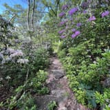 Three Ridges Loop via Appalachian Trail and Mau-Har Trail, Virginia ...