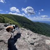 Three Ridges Loop via Appalachian Trail and Mau-Har Trail, Virginia ...