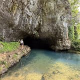 Cave Spring Loop Trail, Missouri - 373 Reviews, Map | AllTrails