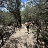 Jacob’s Well Trail, Texas - 406 Reviews, Map | AllTrails