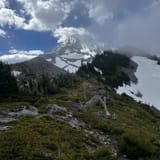McNeil Point Trail, Oregon - 2,860 Reviews, Map | AllTrails