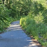 Dutchess Rail Trail, New York - 1,280 Reviews, Map | AllTrails