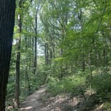 Speedwell Forge Hiking Trail, Pennsylvania - 1,098 Reviews, Map | AllTrails