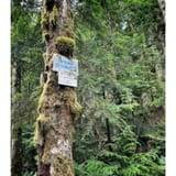 Mount Crumpit via Stairway to Heaven, Woodpecker, and S&M Connector ...