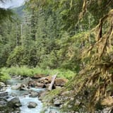 Staircase Rapids Loop, Washington - 2,827 Reviews, Map | AllTrails