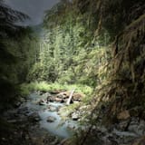 Staircase Rapids Loop, Washington - 2,766 Reviews, Map | AllTrails