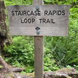 Staircase Rapids Loop, Washington - 2,766 Reviews, Map | AllTrails