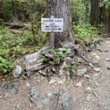Staircase Rapids Loop, Washington - 2,766 Reviews, Map | AllTrails