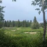 Amisk Wuche Trail, Alberta, Canada - 513 Reviews, Map | AllTrails