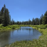 Fall River Trail, Oregon - 414 Reviews, Map | AllTrails