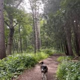 Arcola Bluffs Trail, Minnesota - 192 Reviews, Map | AllTrails