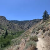 Hunter Creek Trail, Nevada - 4,789 Reviews, Map | AllTrails