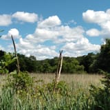 Washington Valley Park Trail, New Jersey - 648 Reviews, Map | AllTrails