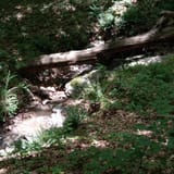 Washington Valley Park Trail, New Jersey - 648 Reviews, Map | AllTrails