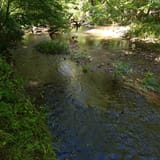 Washington Valley Park Trail, New Jersey - 648 Reviews, Map | AllTrails