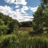 Washington Valley Park Trail, New Jersey - 648 Reviews, Map | AllTrails