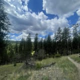 Painted Rocks Nature Trail, Washington - 770 Reviews, Map | AllTrails