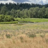 Painted Rocks Nature Trail, Washington - 770 Reviews, Map | AllTrails