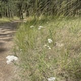 Painted Rocks Nature Trail, Washington - 770 Reviews, Map | AllTrails