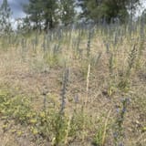 Painted Rocks Nature Trail, Washington - 770 Reviews, Map | AllTrails
