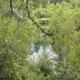 Painted Rocks Nature Trail, Washington - 770 Reviews, Map | AllTrails