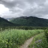Johnson Pass Trail to Bridge, Alaska - 53 Reviews, Map | AllTrails