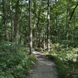 Cincinnati Nature Center Loop, Ohio - 1,484 Reviews, Map | AllTrails