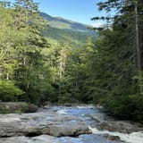 Basin Cascade Trail, New Hampshire - 2,098 Reviews, Map | AllTrails