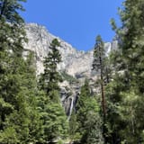 Sentinel Meadow Cook's Meadow Loop Trail, California - 3,765 Reviews ...