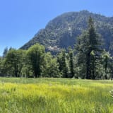 Sentinel Meadow Cook's Meadow Loop Trail, California - 3,765 Reviews ...