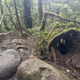 Mount Tom, Avalon, and Field Loop, New Hampshire - 1,450 Reviews, Map ...