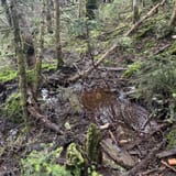 Mount Tom, Avalon, and Field Loop, New Hampshire - 1,450 Reviews, Map ...