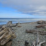 Kalaloch 2nd Beach Trail, Washington - 59 Reviews, Map | AllTrails