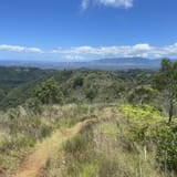 Mānana Ridge Trail, Oahu, Hawaii - 1,000 Reviews, Map | AllTrails