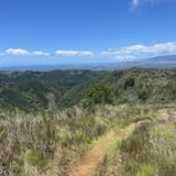 Mānana Ridge Trail, Oahu, Hawaii - 1,000 Reviews, Map | AllTrails