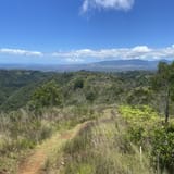 Mānana Ridge Trail, Oahu, Hawaii - 1,000 Reviews, Map | AllTrails