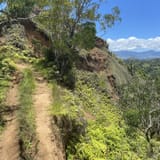 Mānana Ridge Trail, Oahu, Hawaii - 1,000 Reviews, Map | AllTrails