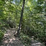 Seneca Rocks Trail, West Virginia - 3,088 Reviews, Map | AllTrails