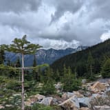 Easy Pass Trail, Washington - 514 Reviews, Map | AllTrails