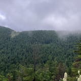 Mount Washington Trail, Washington - 2,958 Reviews, Map | AllTrails