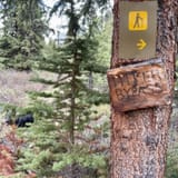 Skoki Loop Backpacking Trail, Alberta, Canada - 354 Reviews, Map ...