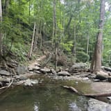 Cedar Run Falls Trail, Virginia - 720 Reviews, Map | AllTrails