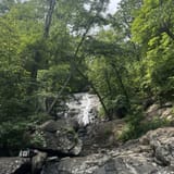 Cedar Run Falls Trail, Virginia - 720 Reviews, Map | AllTrails