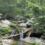 Cedar Run Falls Trail, Virginia - 720 Reviews, Map | AllTrails