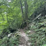 Cedar Run Falls Trail, Virginia - 720 Reviews, Map | AllTrails