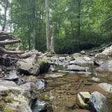 Cedar Run Falls Trail, Virginia - 720 Reviews, Map | AllTrails
